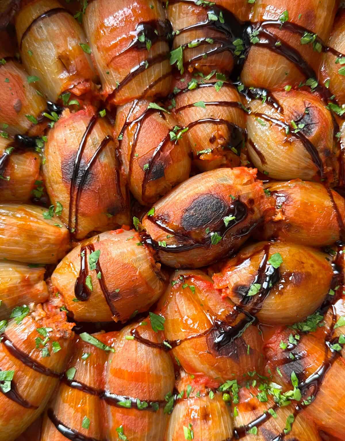 Stuffed Onions (Onion Dolma) - Sammy Montgoms