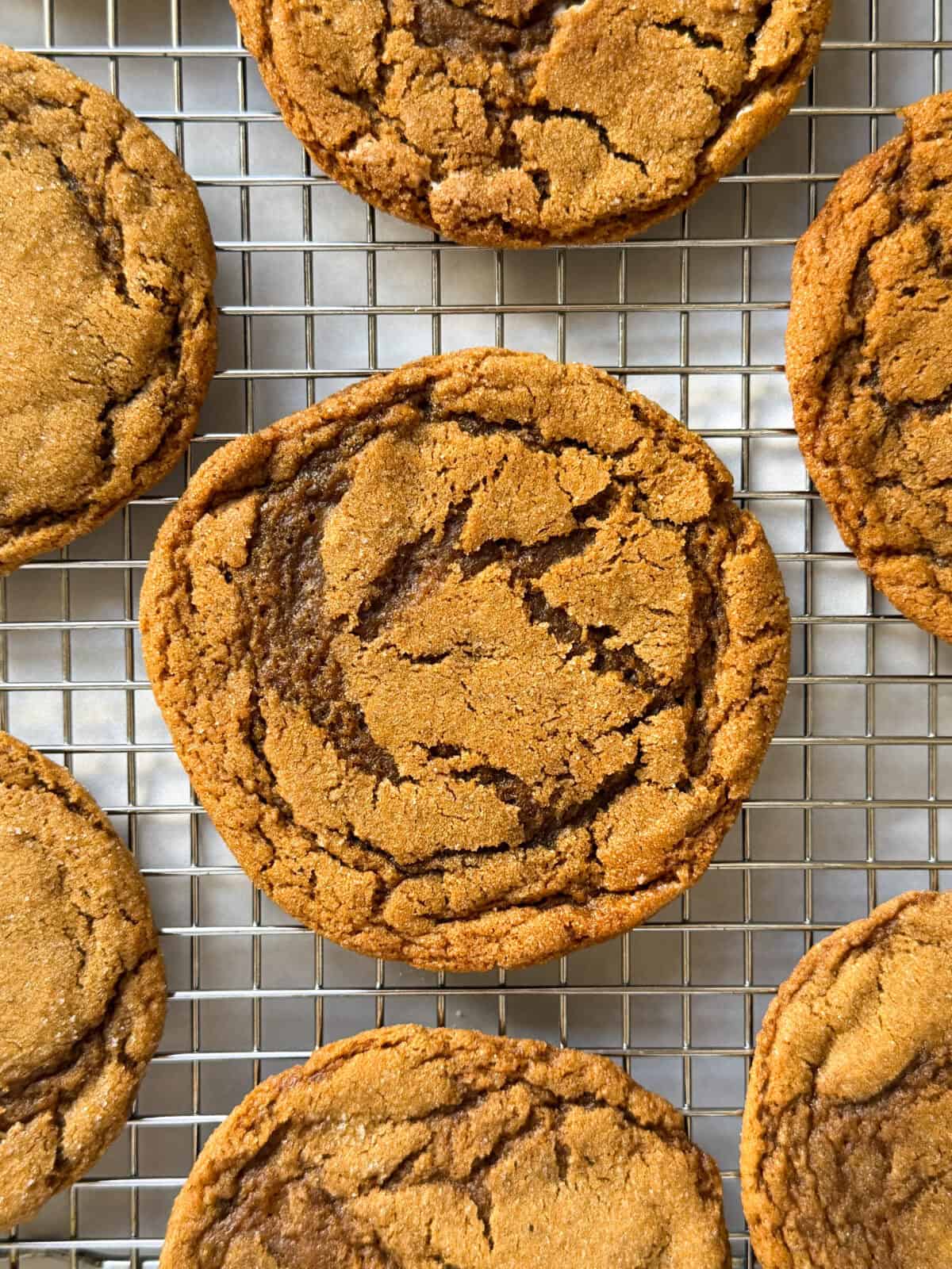 Ginger Molasses Cookies - Sammy Montgoms